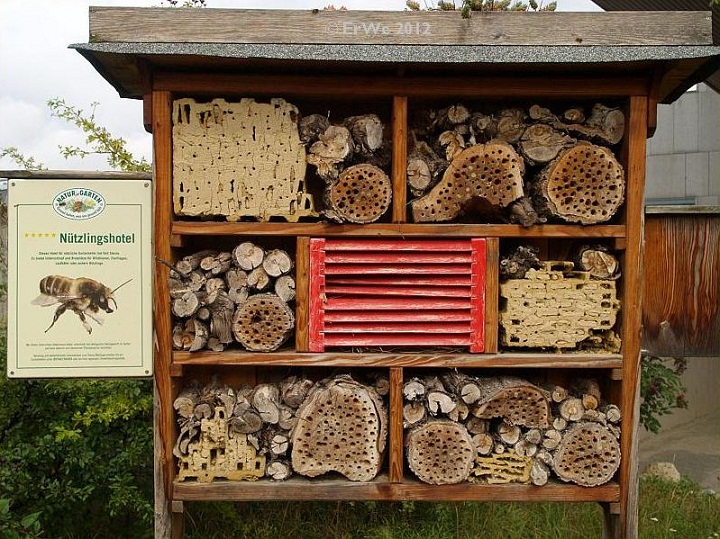 Insect Hotel • Insteading